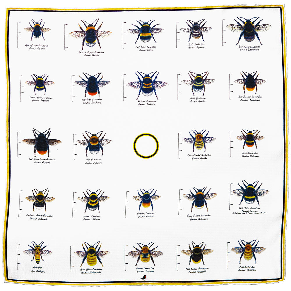 bee identifier uk
